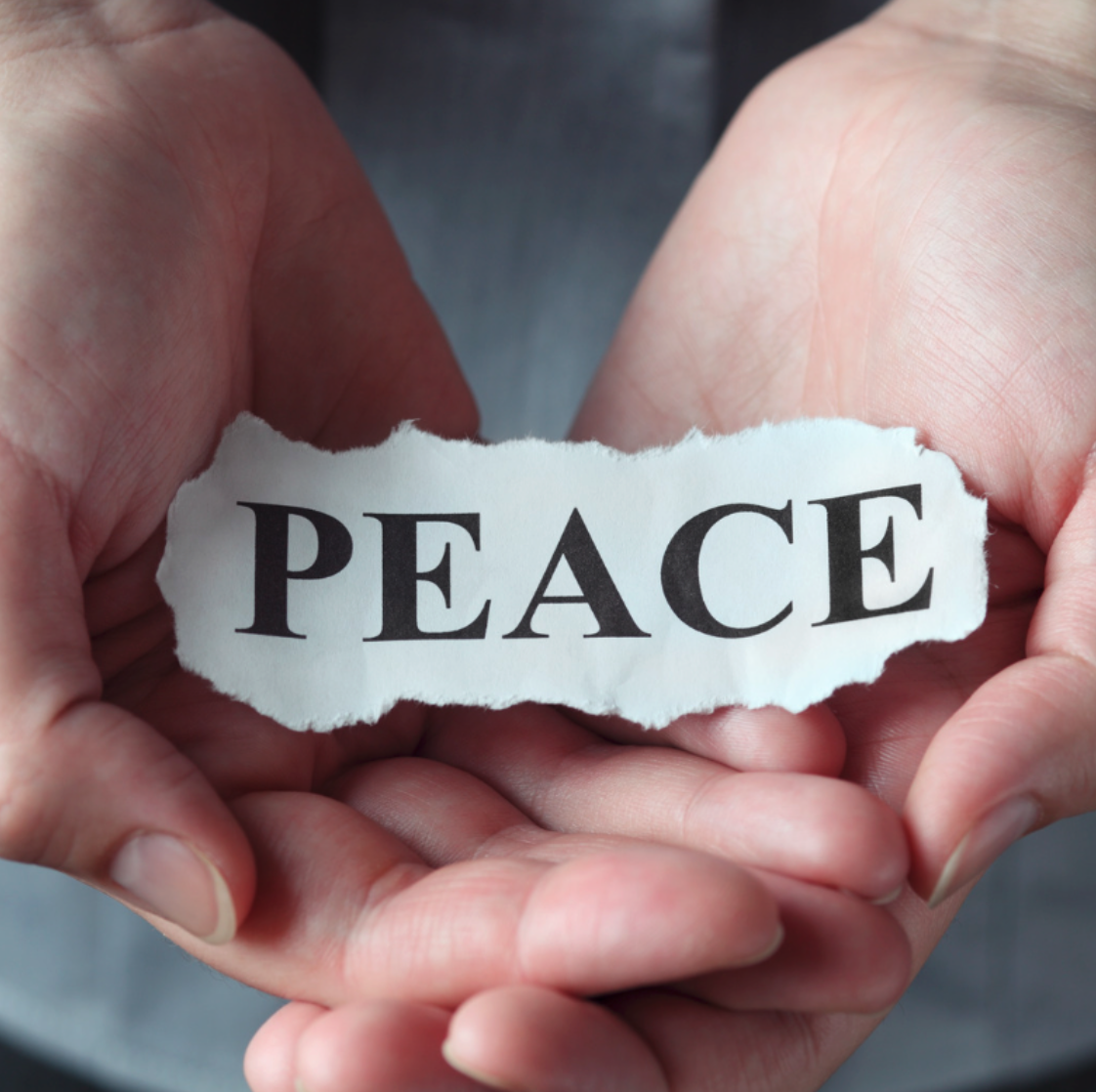 Peace is in Our Hands — Red Doors Studio